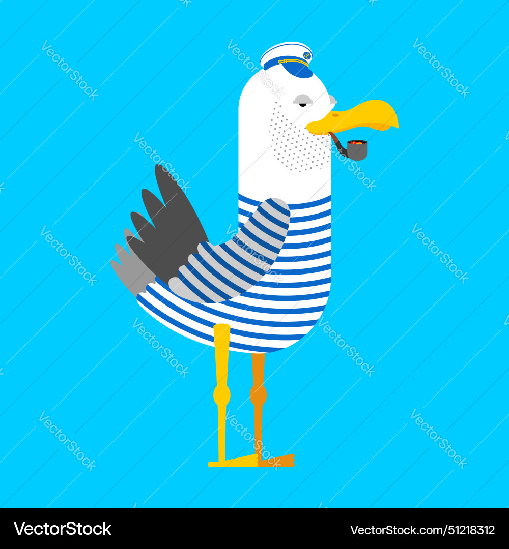 Seagull pirate isolated gull in clothes Royalty Free Vector