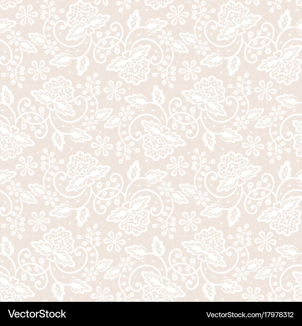 Seamless white lace Royalty Free Vector Image - VectorStock