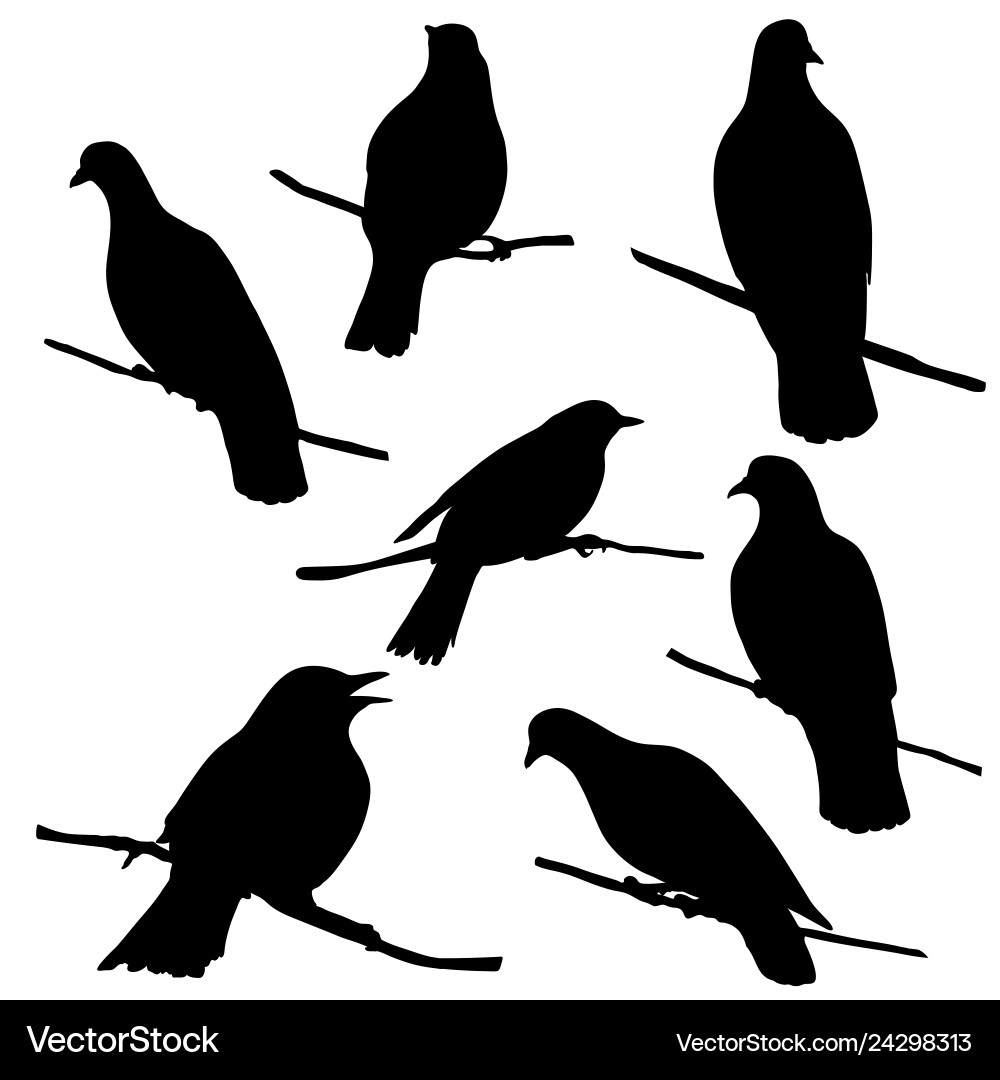 Birds at tree branch Royalty Free Vector Image