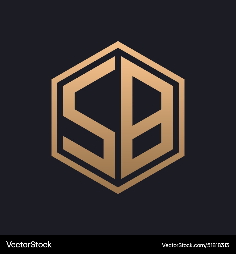 Elegant hexagon letter sb logo design initial Vector Image