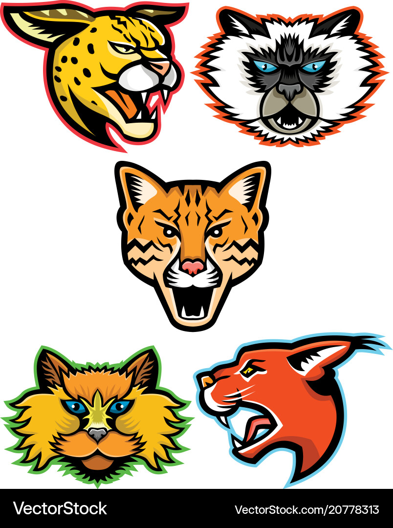 Feline Head Mascot Collection Royalty Free Vector Image