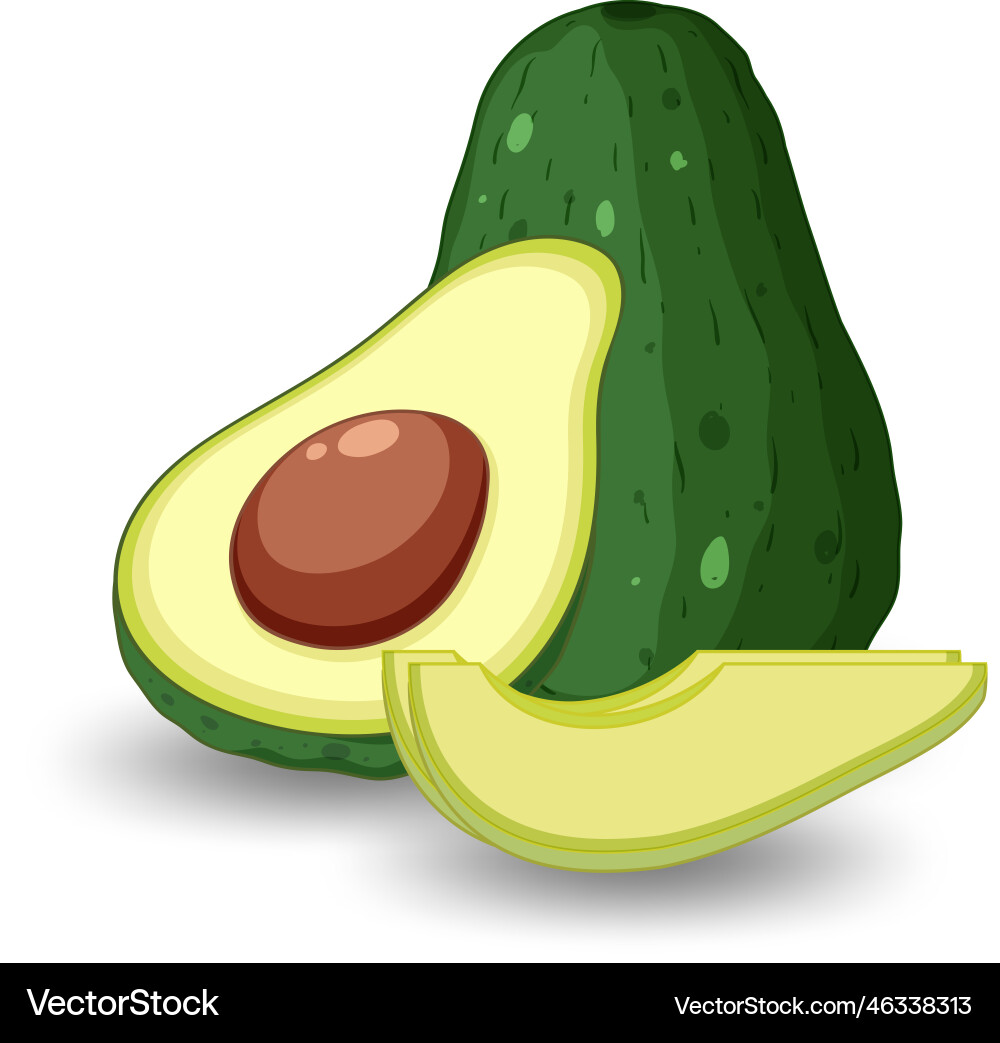Isolated avocado fruit cartoon Royalty Free Vector Image