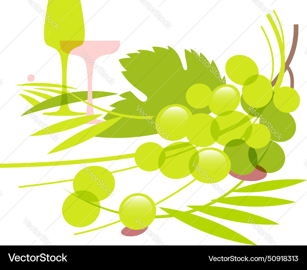 White grape bunch Royalty Free Vector Image - VectorStock