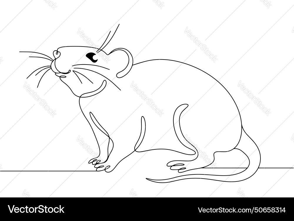 Rat animal line Royalty Free Vector Image - VectorStock