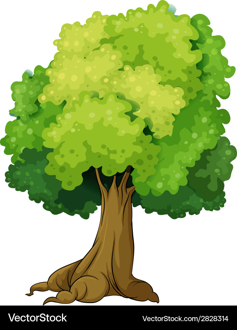 Single tree Royalty Free Vector Image - VectorStock