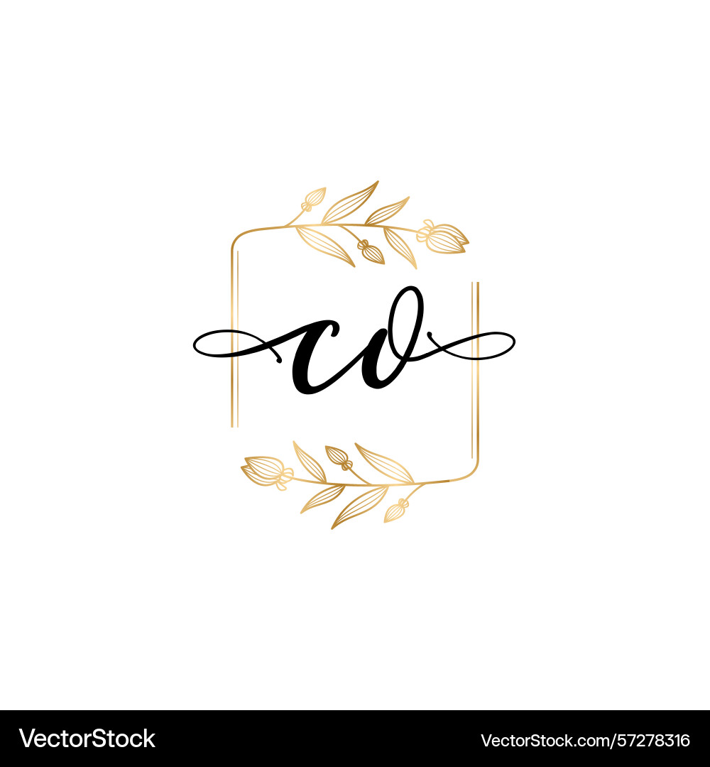 Floral monogram logos with co initials Royalty Free Vector