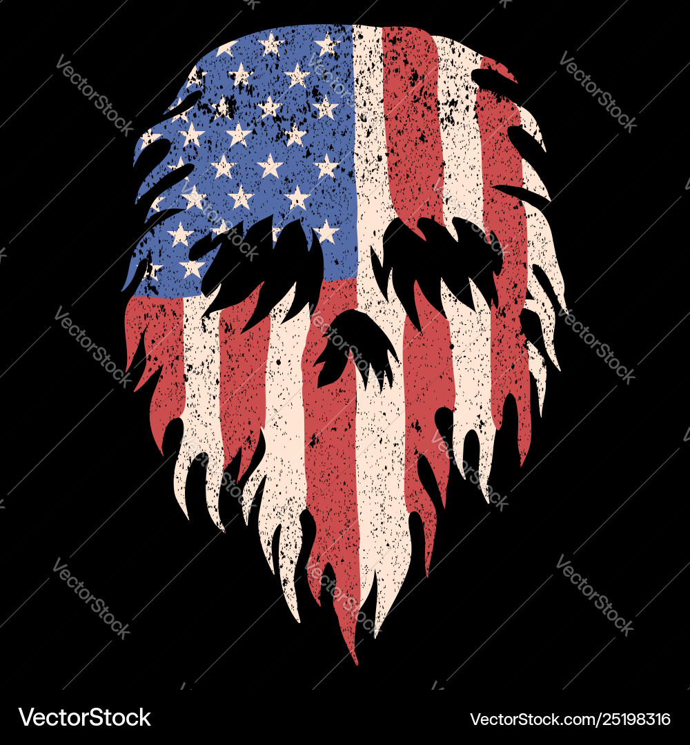 Skull usa torn flag Royalty Free Vector Image - VectorStock
