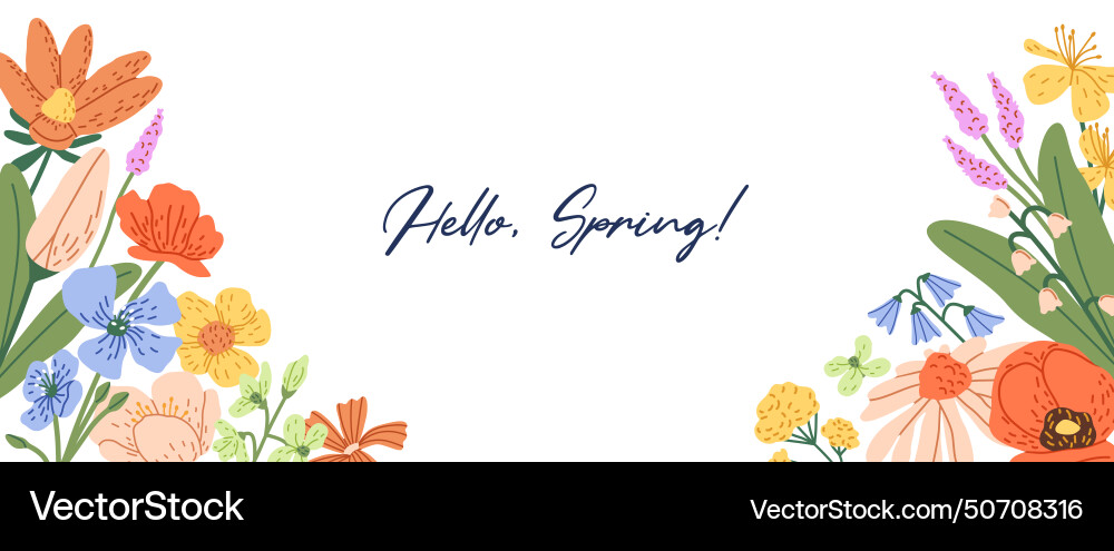 Wild meadow flowers on horizontal spring banner Vector Image