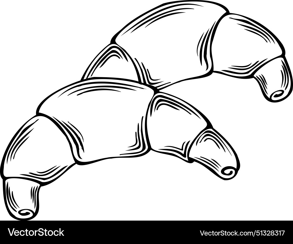 Baguetts french bread Royalty Free Vector Image