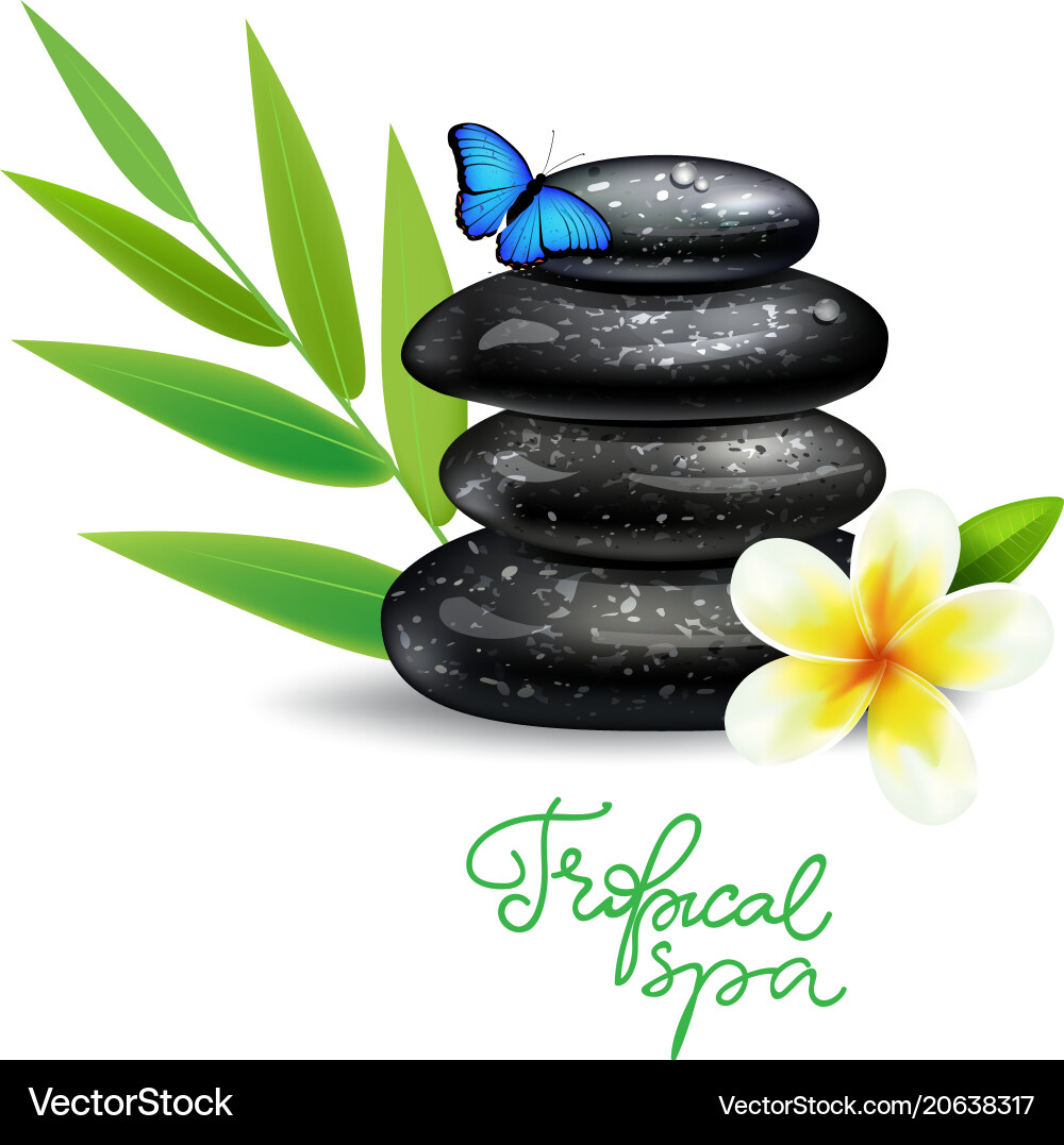 Spa zen background Royalty Free Vector Image - VectorStock