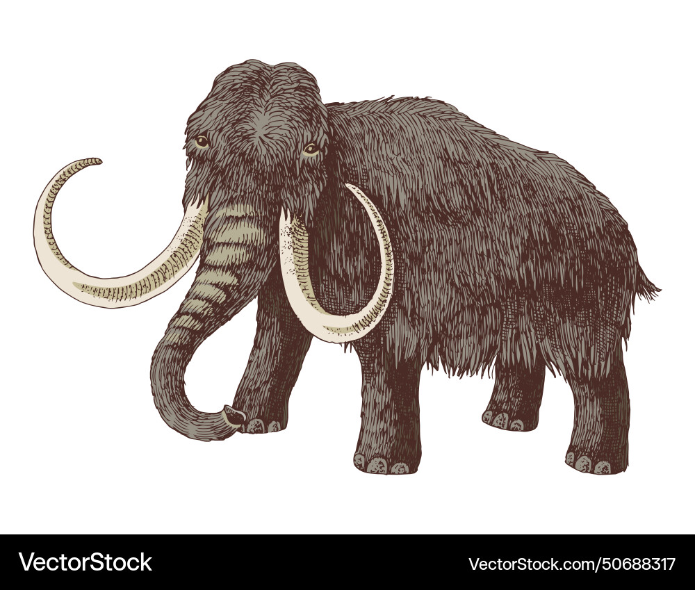 Woolly mammoth extinct animal sketch Royalty Free Vector