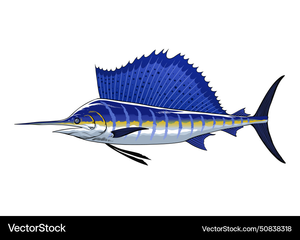 Big atlantic sailfish realistic Royalty Free Vector Image