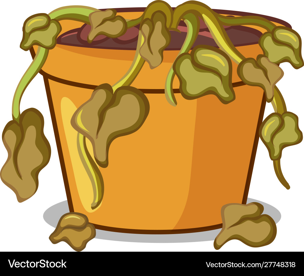 Dead plant in pot on white background Royalty Free Vector