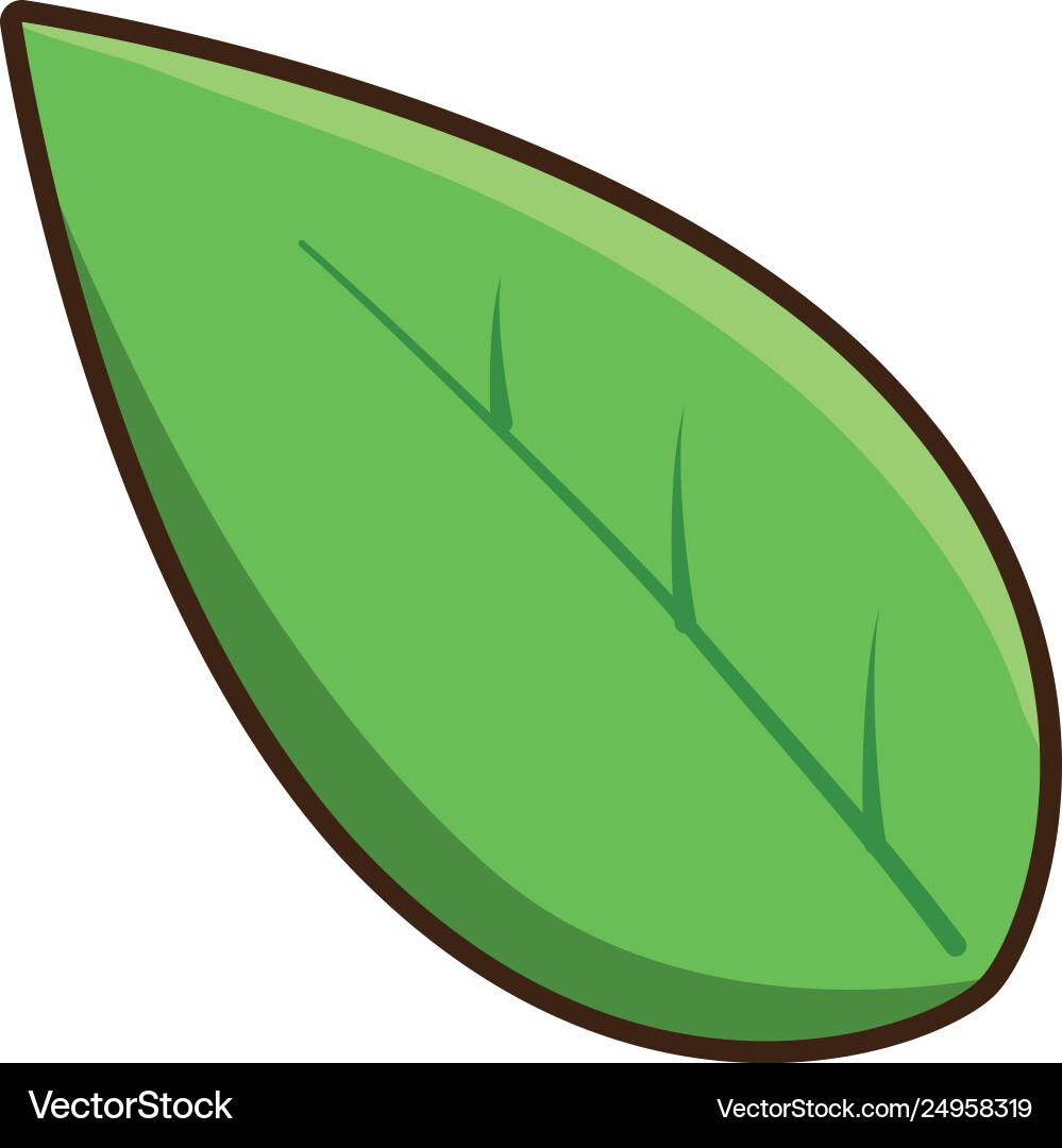 Nature leaf cartoon Royalty Free Vector Image - VectorStock