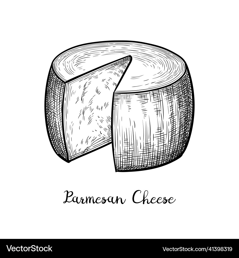 Parmesan cheese ink sketch Royalty Free Vector Image