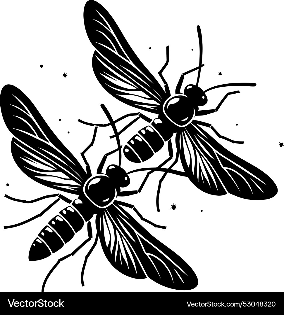 Beautiful firefly insect silhouette isolated on a Vector Image