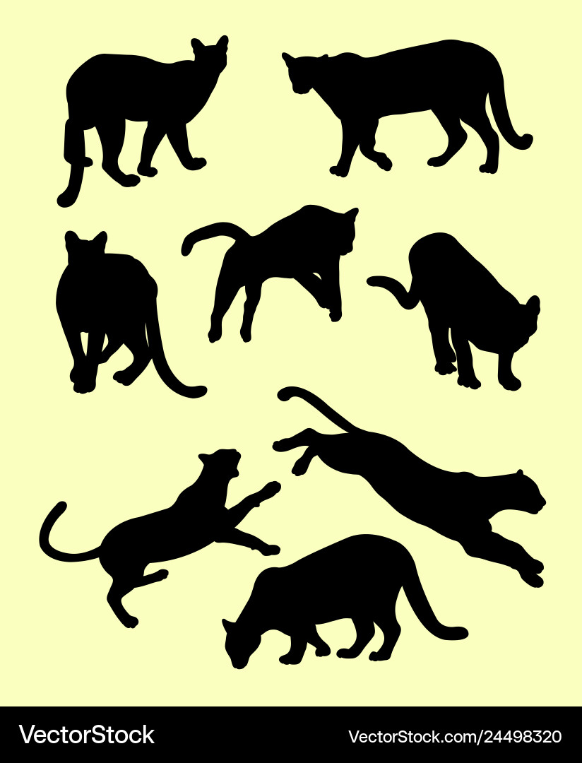 Puma animals silhouettes Royalty Free Vector Image