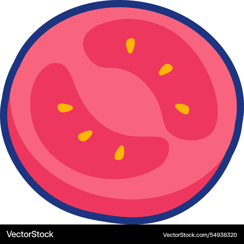 Tomato half sticker Royalty Free Vector Image - VectorStock