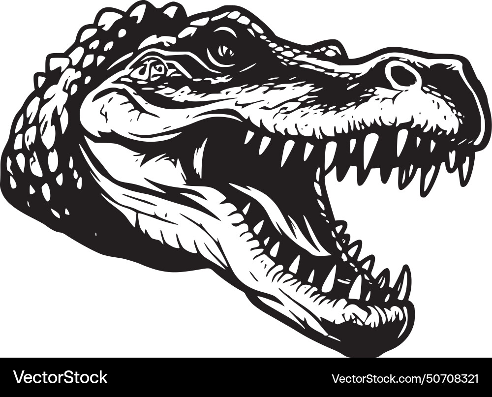 Alligator - black and white Royalty Free Vector Image