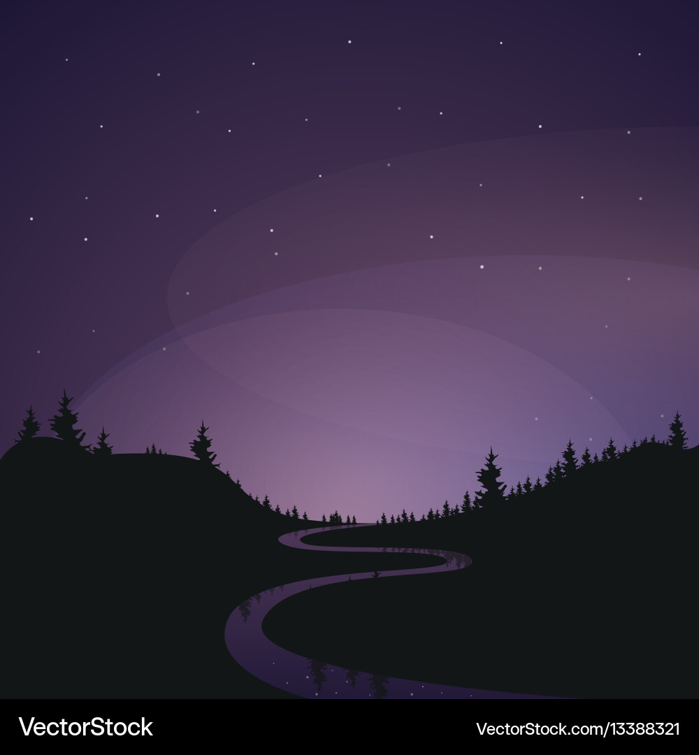 Landscape the starry night sky banner Royalty Free Vector