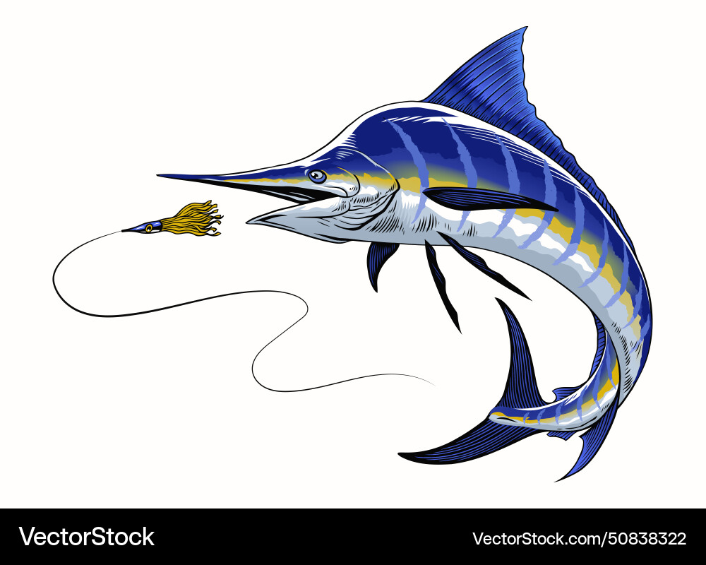 Blue marlin fish chasing the bait Royalty Free Vector Image
