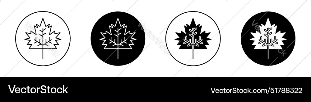 Maple leaf icon Royalty Free Vector Image - VectorStock
