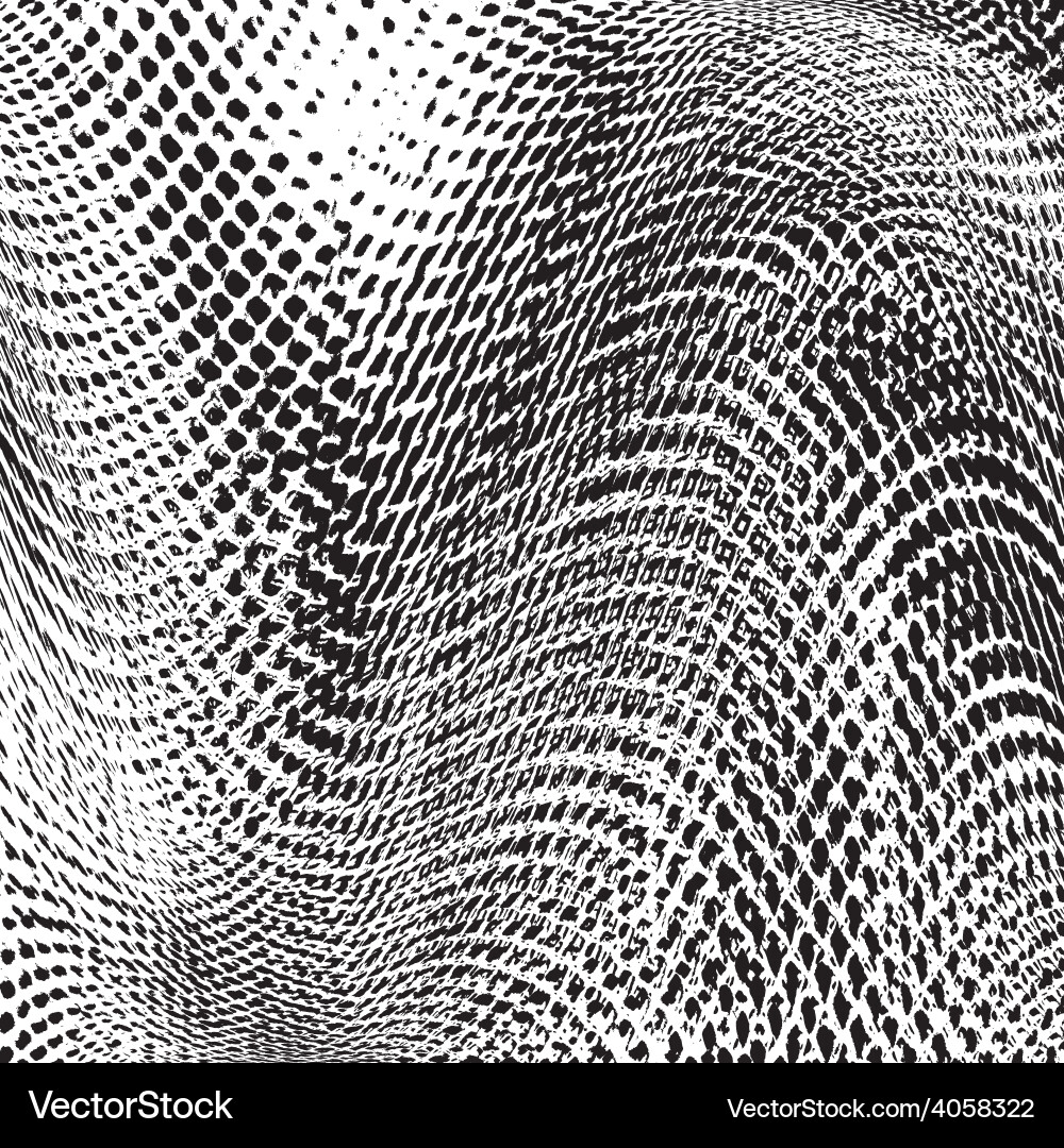 Texture grid Royalty Free Vector Image - VectorStock