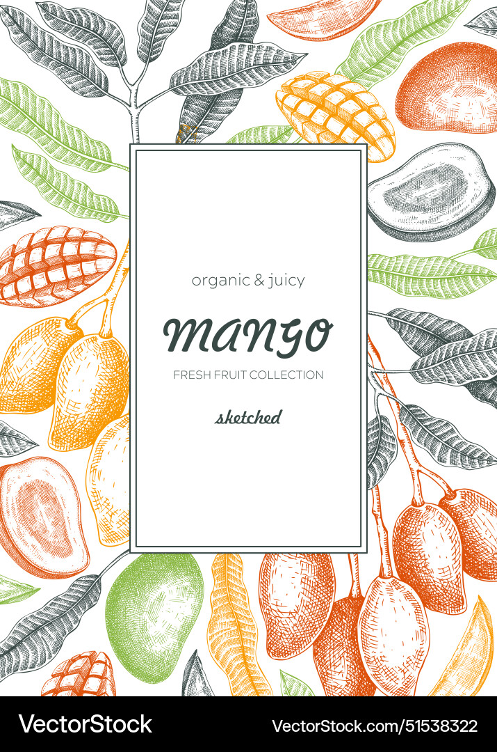 Tropical fruit frame design summer background Vector Image