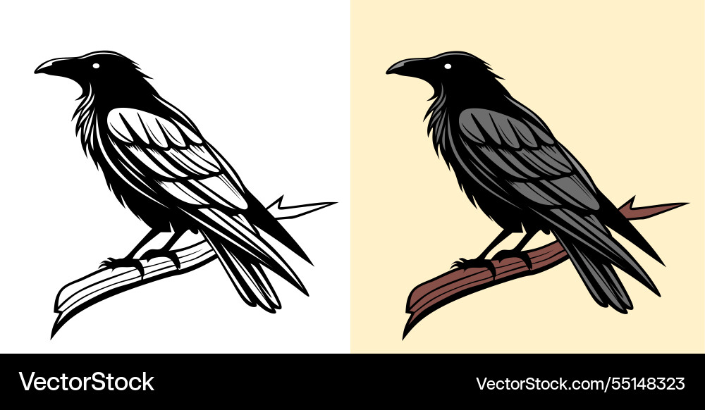 Crow animal Royalty Free Vector Image - VectorStock