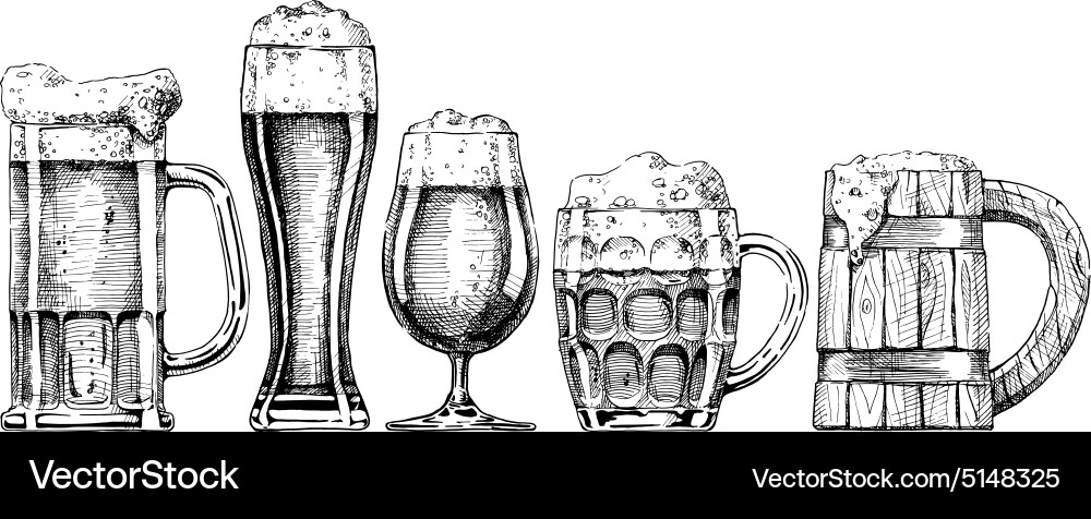 Beer set Royalty Free Vector Image - VectorStock