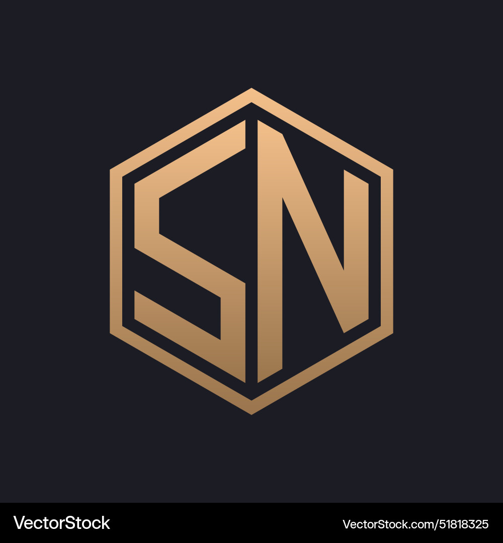 Elegant hexagon letter sn logo design initial Vector Image