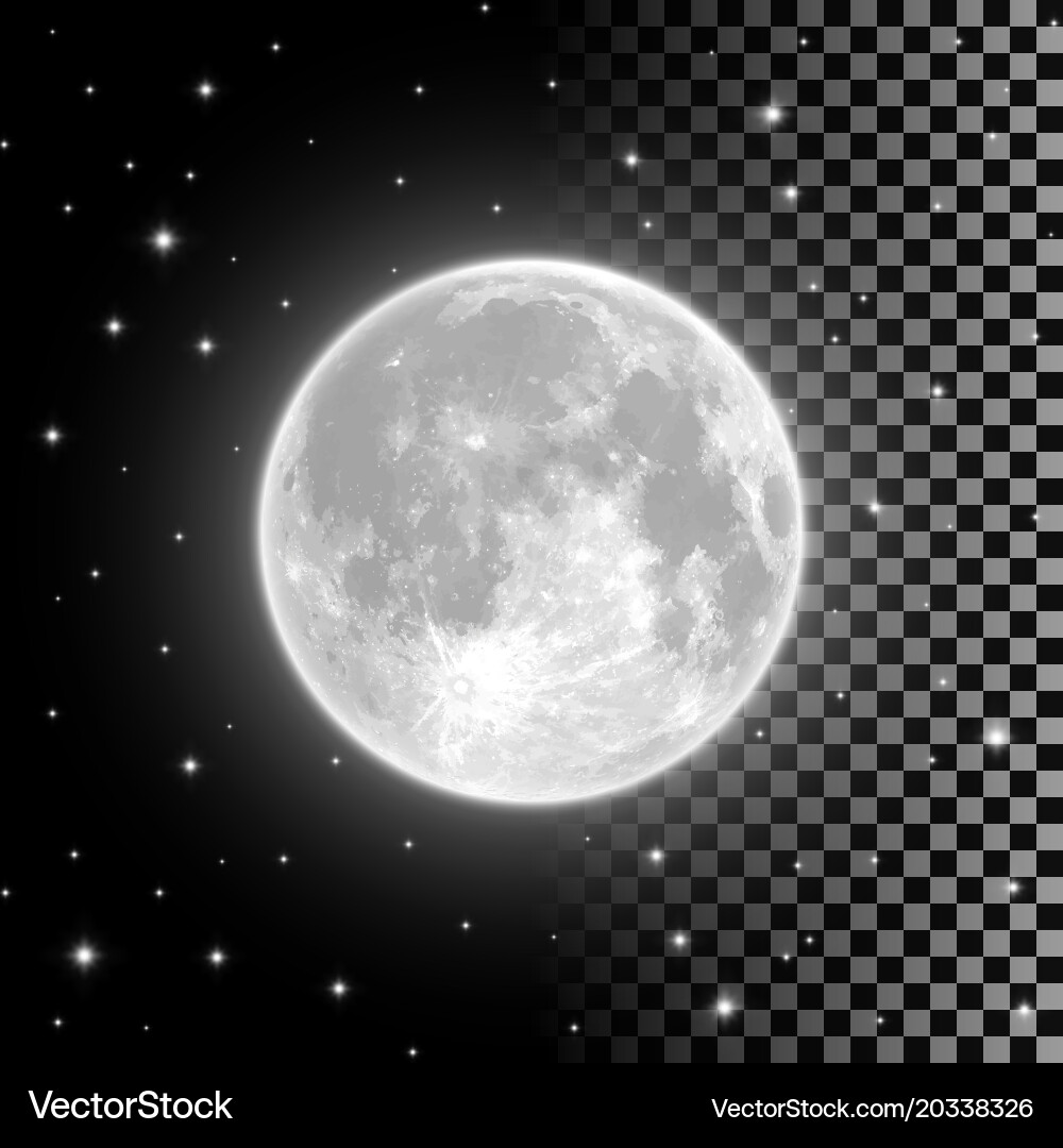 Bright full moon in the clear night sky Royalty Free Vector