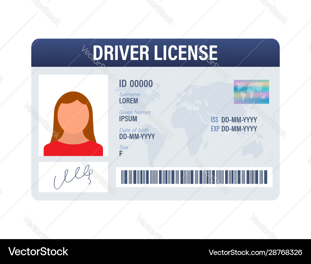 Driver's License Card Template Royalty Free Vector Image