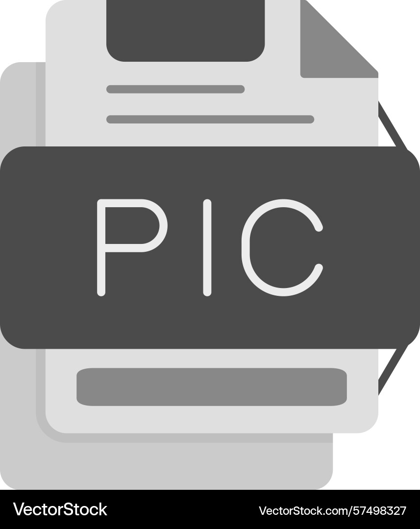 Pic icon Royalty Free Vector Image - VectorStock