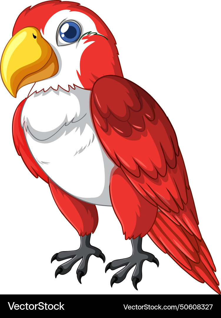 Vibrant red and white cartoon parrot standing Vector Image