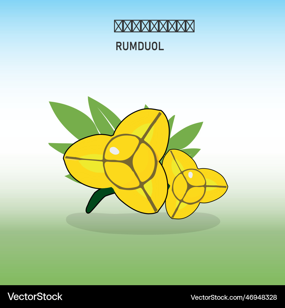 Cambodia rumduol flower khmer Royalty Free Vector Image