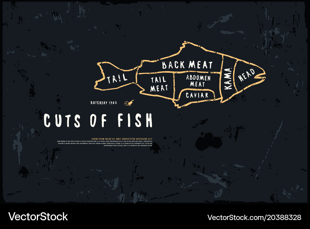 Stock fish cuts diagram Royalty Free Vector Image