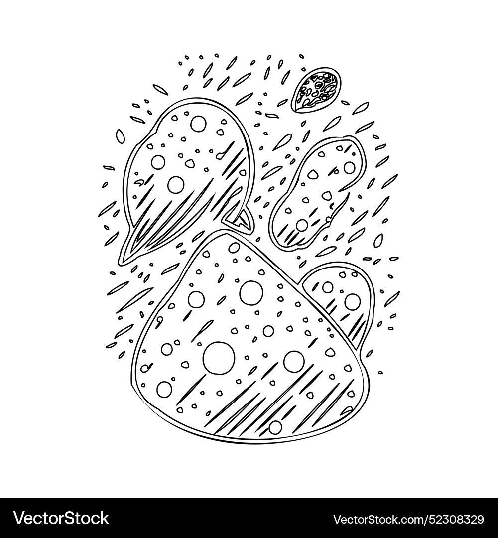 Asteroids outline sketch Royalty Free Vector Image