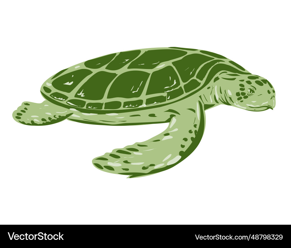 Australian flatback sea turtle side view wpa art Vector Image