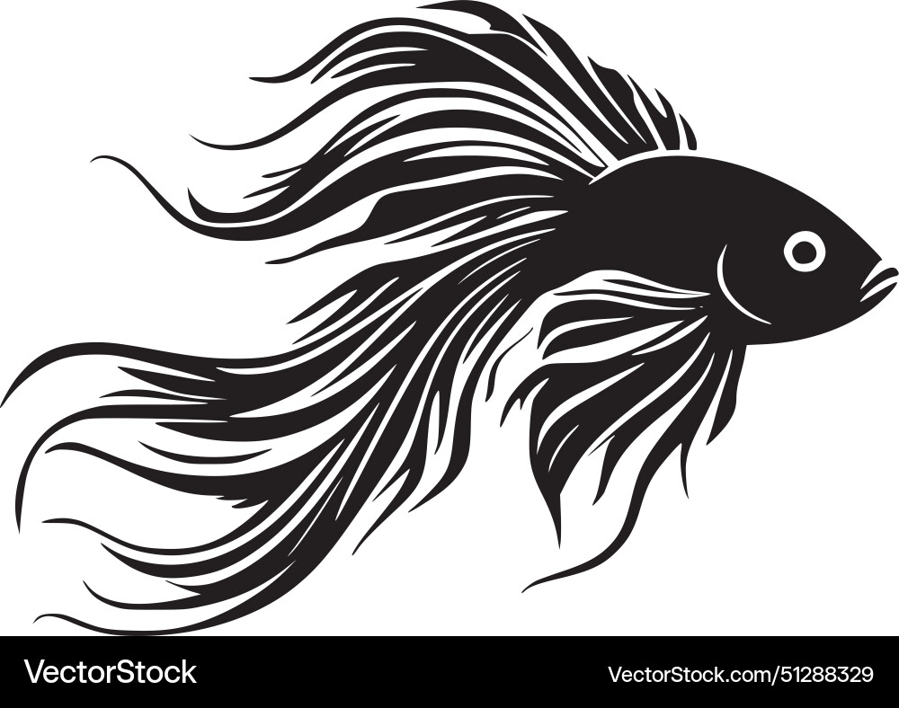 Betta fish - black and white isolated icon Vector Image