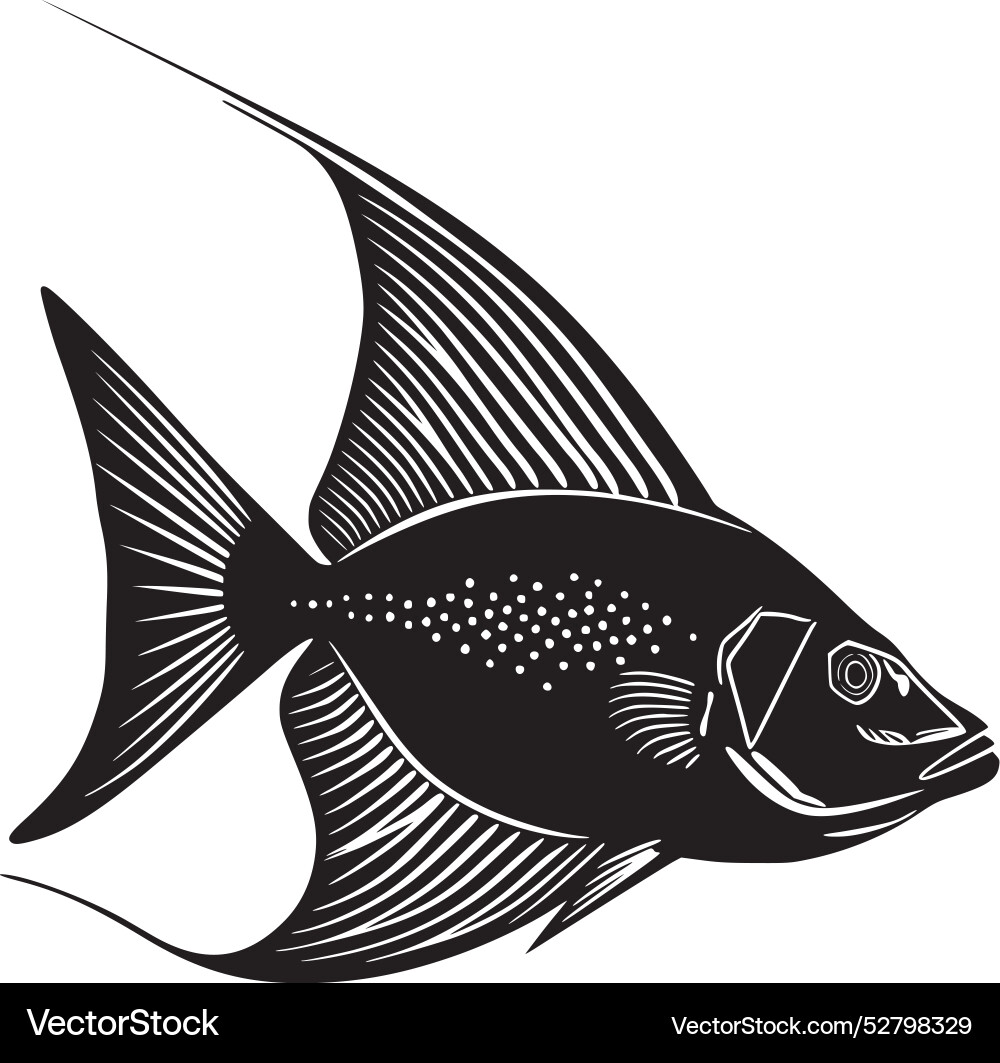Fish Royalty Free Vector Image - VectorStock