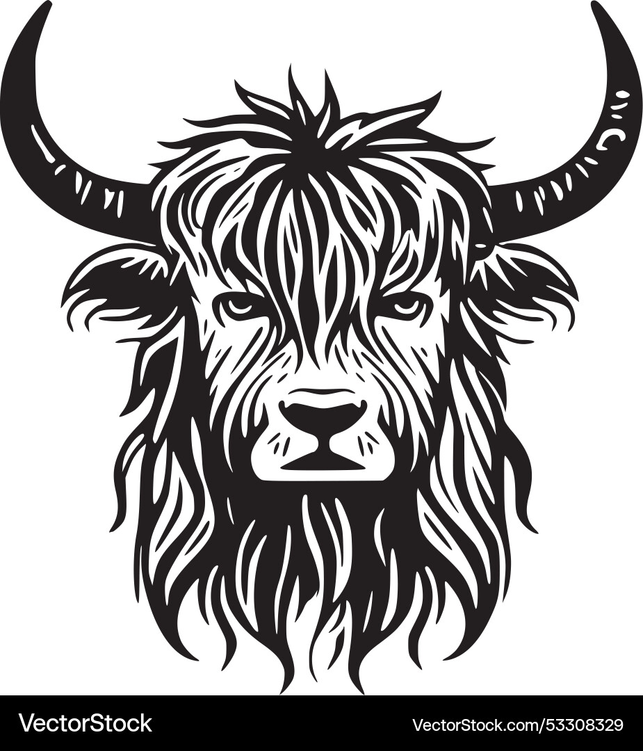 Highland cow - black and white Royalty Free Vector Image