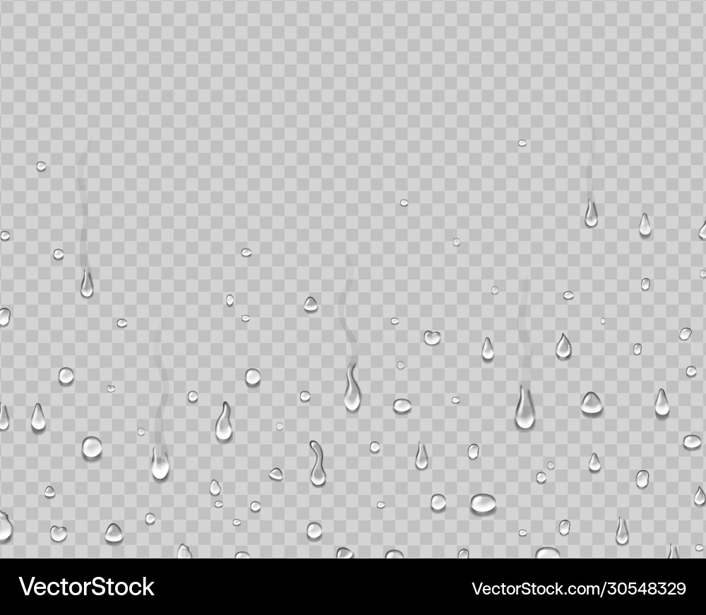 Realistic water droplets on glass rain drops Vector Image