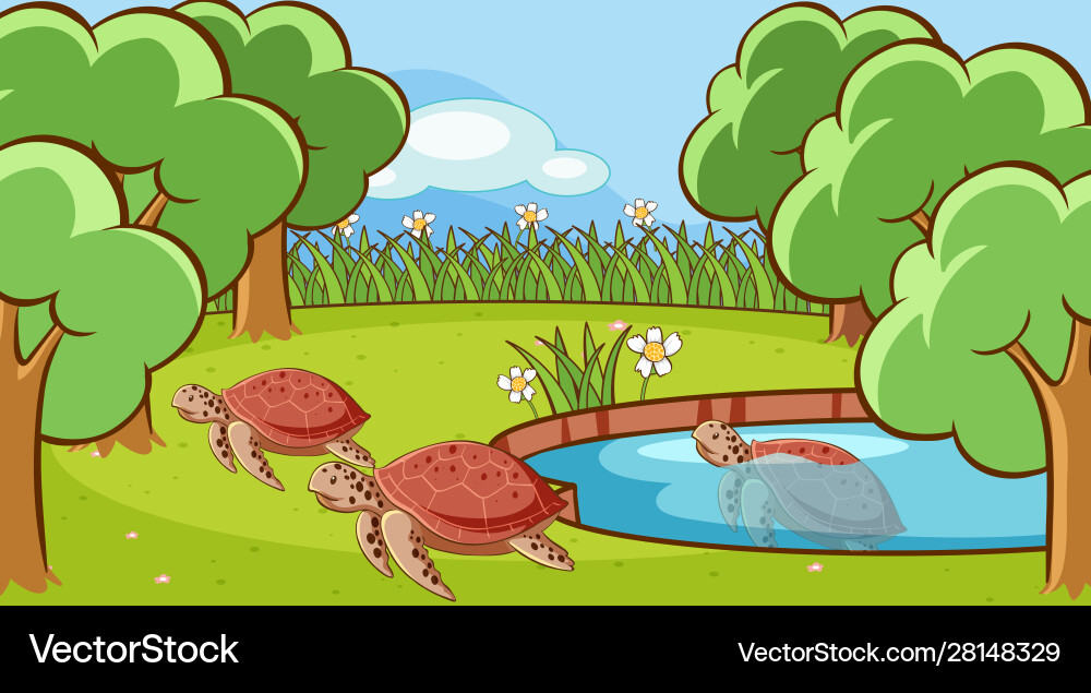 Scene with turtle in pond Royalty Free Vector Image