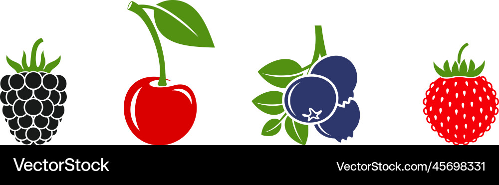 Berry Royalty Free Vector Image - VectorStock