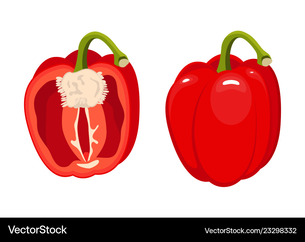 Pepper design Royalty Free Vector Image - VectorStock