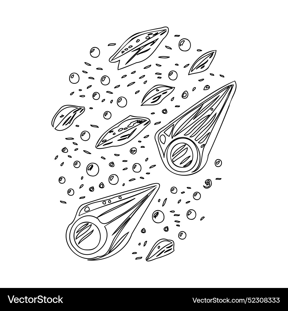 Asteroids outline sketch Royalty Free Vector Image
