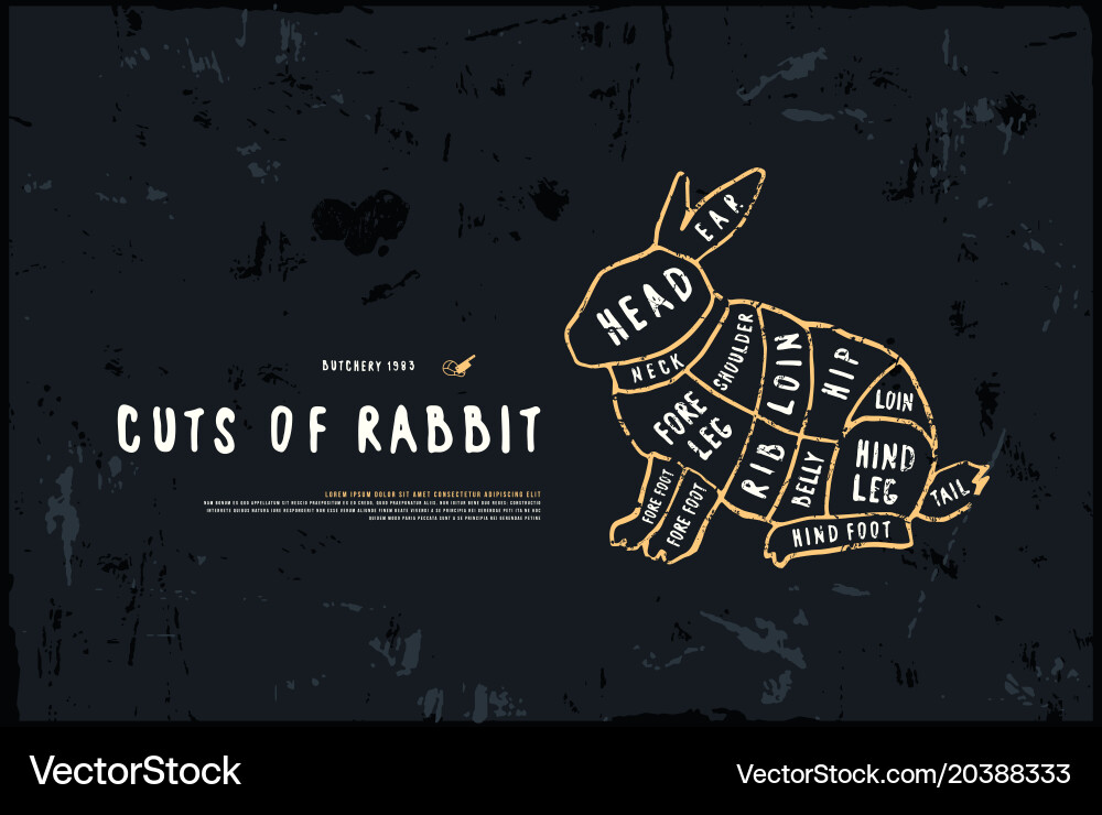 Rabbit cuts diagram Royalty Free Vector Image - VectorStock