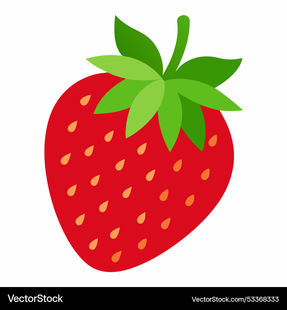 Strawberry fruits Royalty Free Vector Image - VectorStock