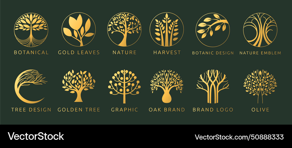 Tree logo icon nature oak and olive circle Vector Image